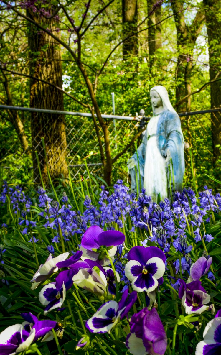 Mary Garden of Mercy: Growing in Purpose - Catholic Telegraph
