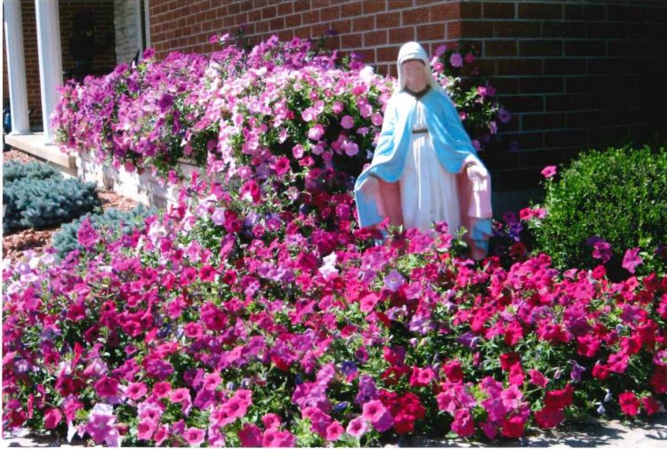 Mary Garden of Mercy: Growing in Purpose - Catholic Telegraph