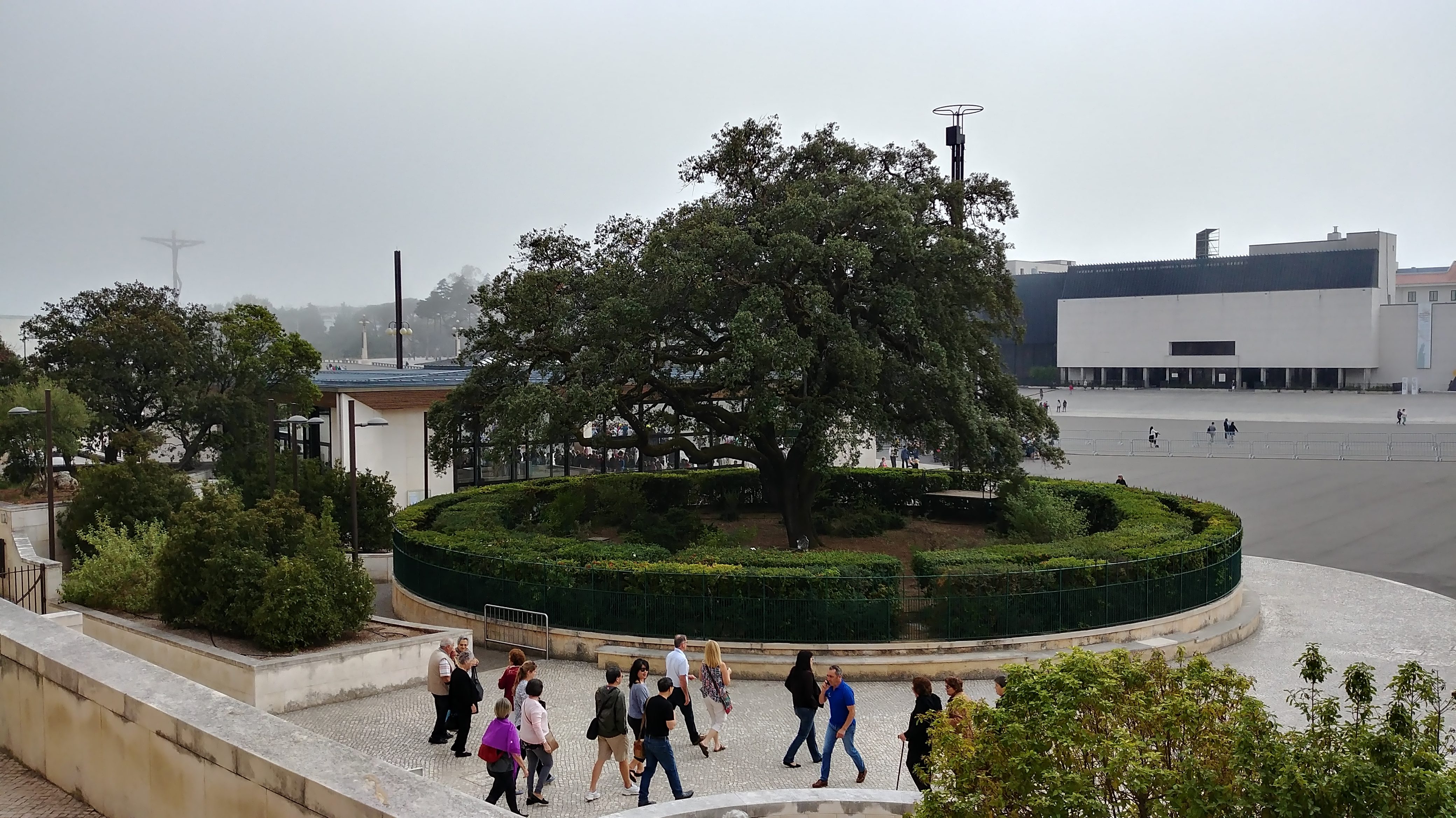 Everything you need to know about Fatima (Part 1) – Catholic Telegraph