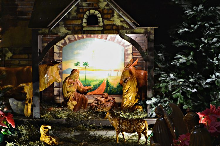 Advent Reflections 2019 - Catholic Telegraph