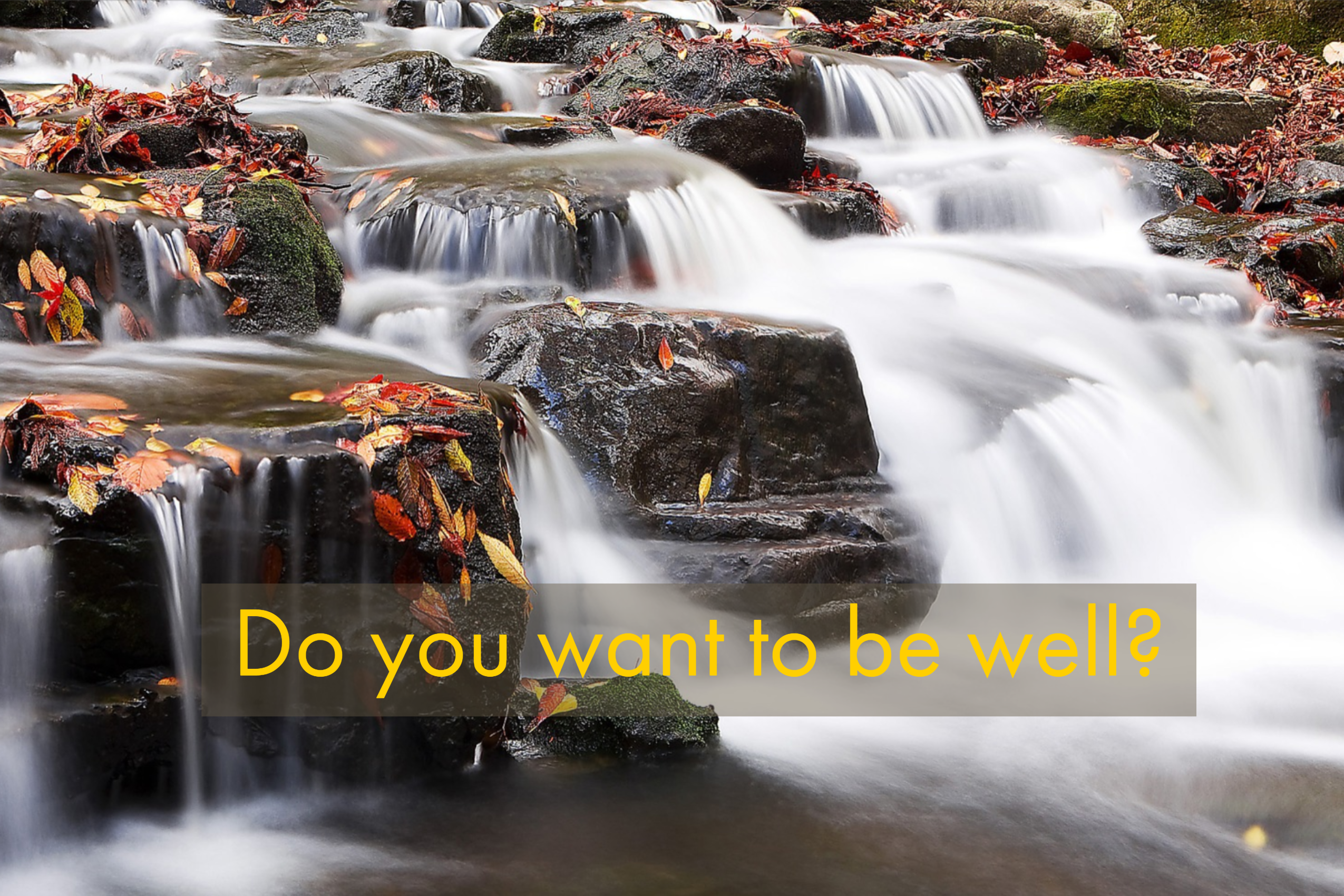 Today's Video: Do You Want to Be Well? - Catholic Telegraph
