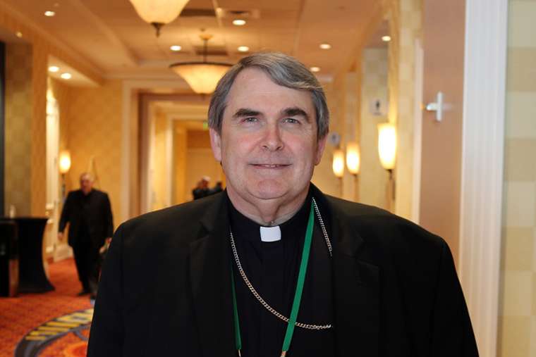 Pope Francis names new bishop of scandal-ridden Buffalo diocese ...