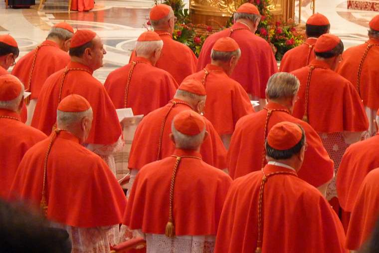 Pope Francis names 21 new cardinals, including archbishops of Tehran ...