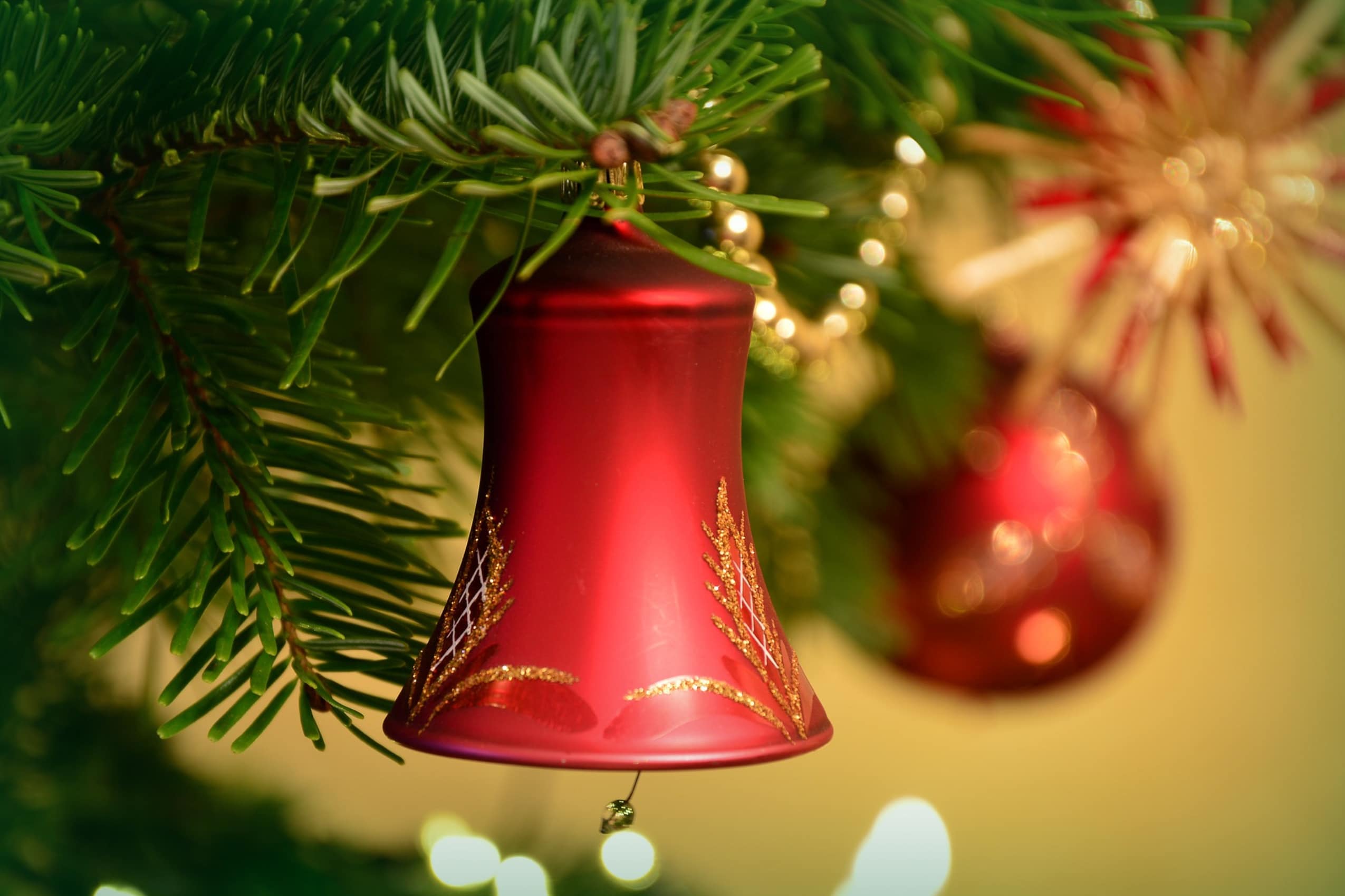 Christmas Tree Blessing - Catholic Telegraph