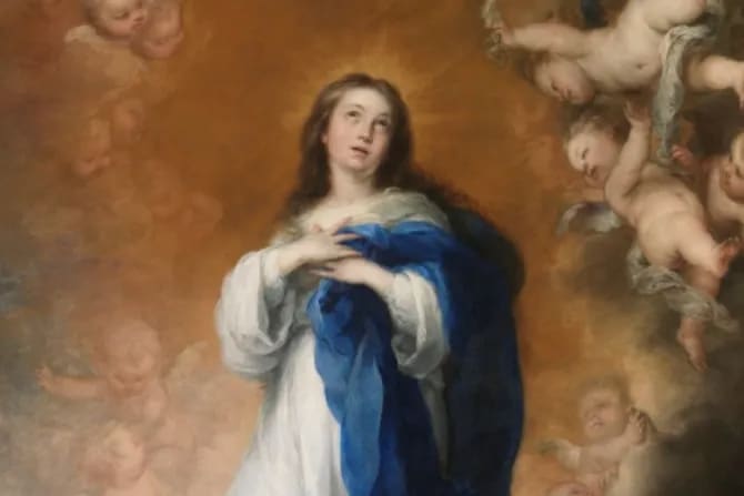 Did you know the Immaculate Conception is patroness of the United ...