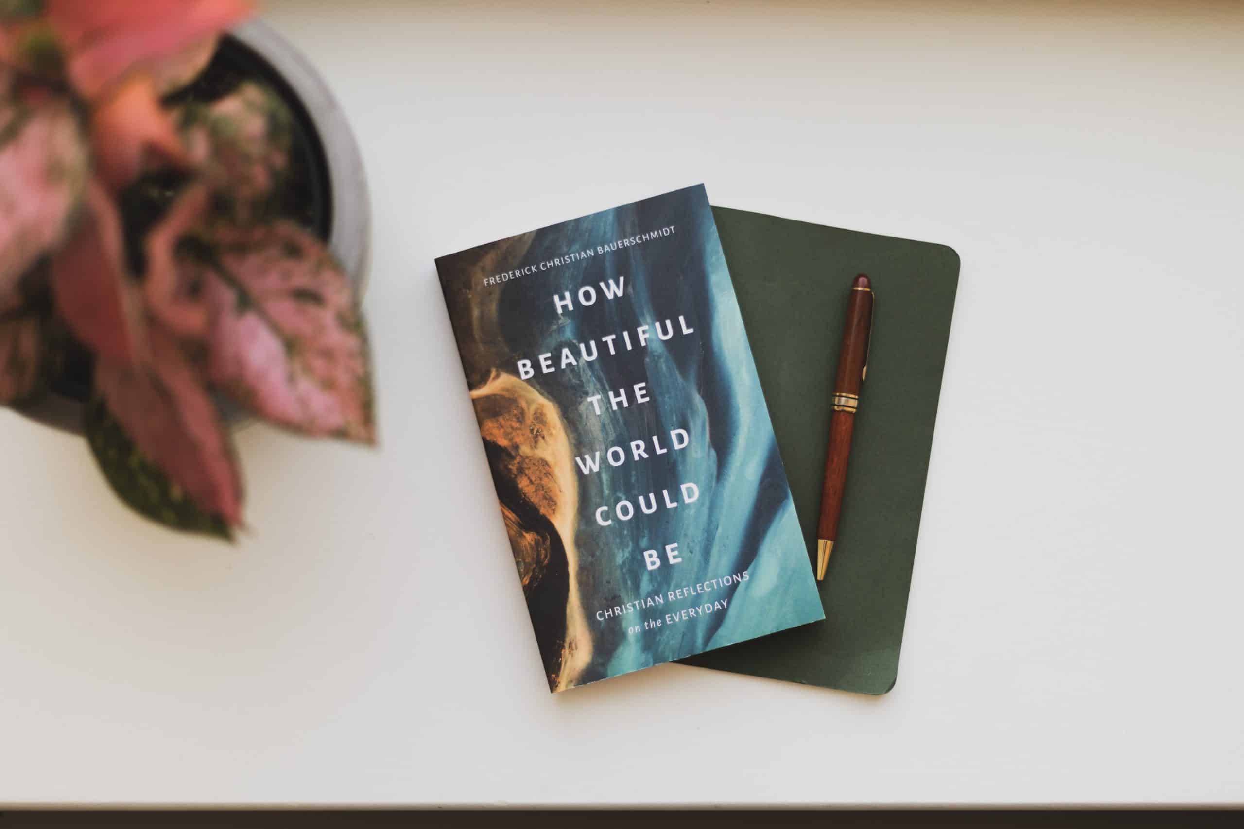 Book Review: How Beautiful the World Could Be - Catholic Telegraph