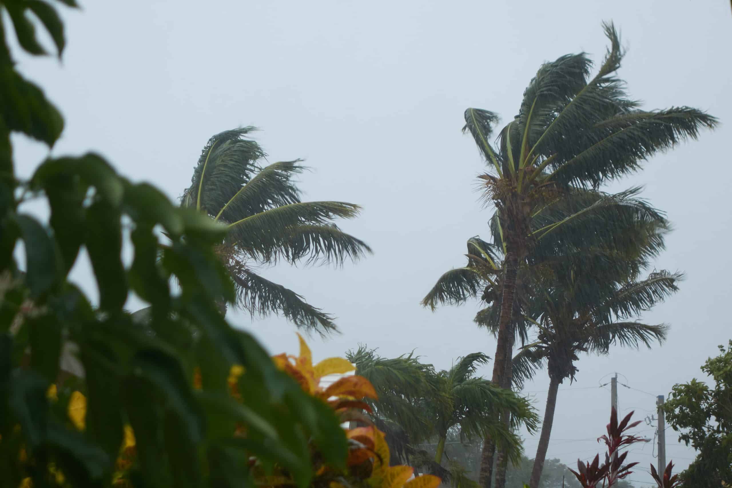 Prayer for Protection During Hurricane Season - Catholic Telegraph