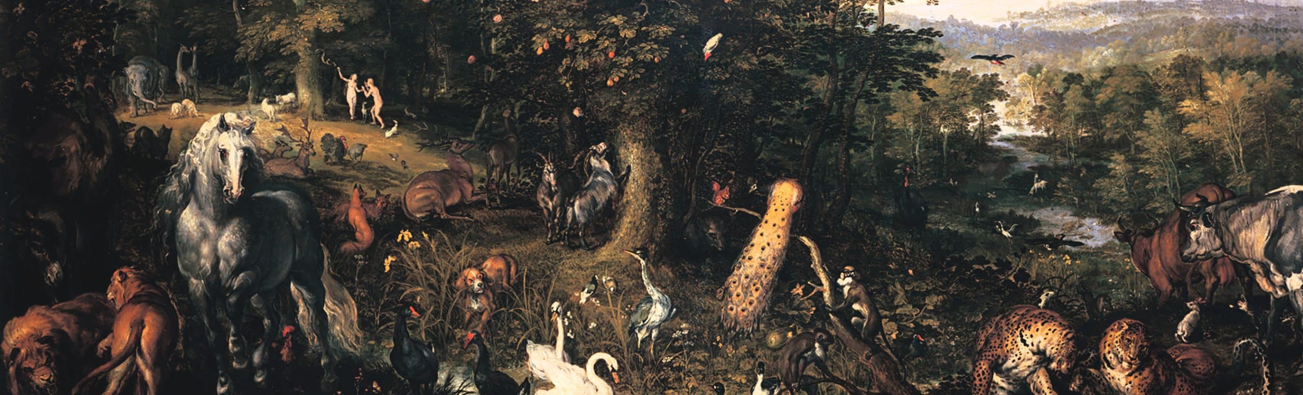 The Tragedy of Sin Part 2 - Catholic Telegraph