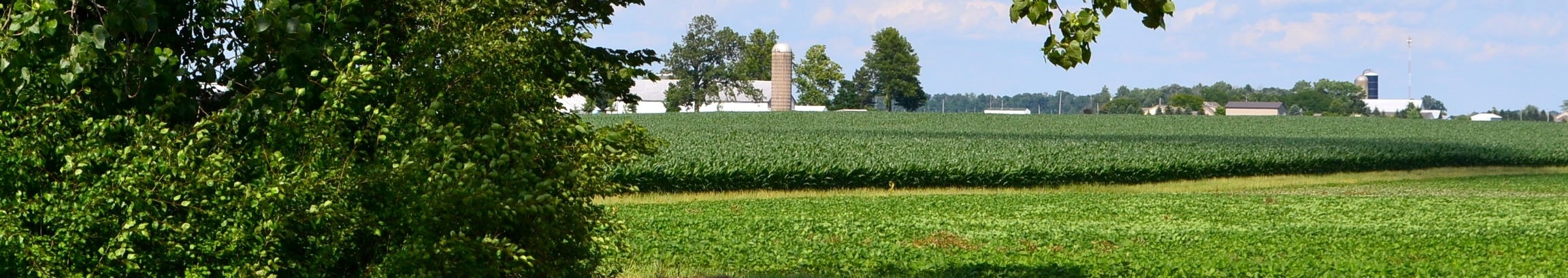 Blessing of All Who Work the Land - Catholic Telegraph