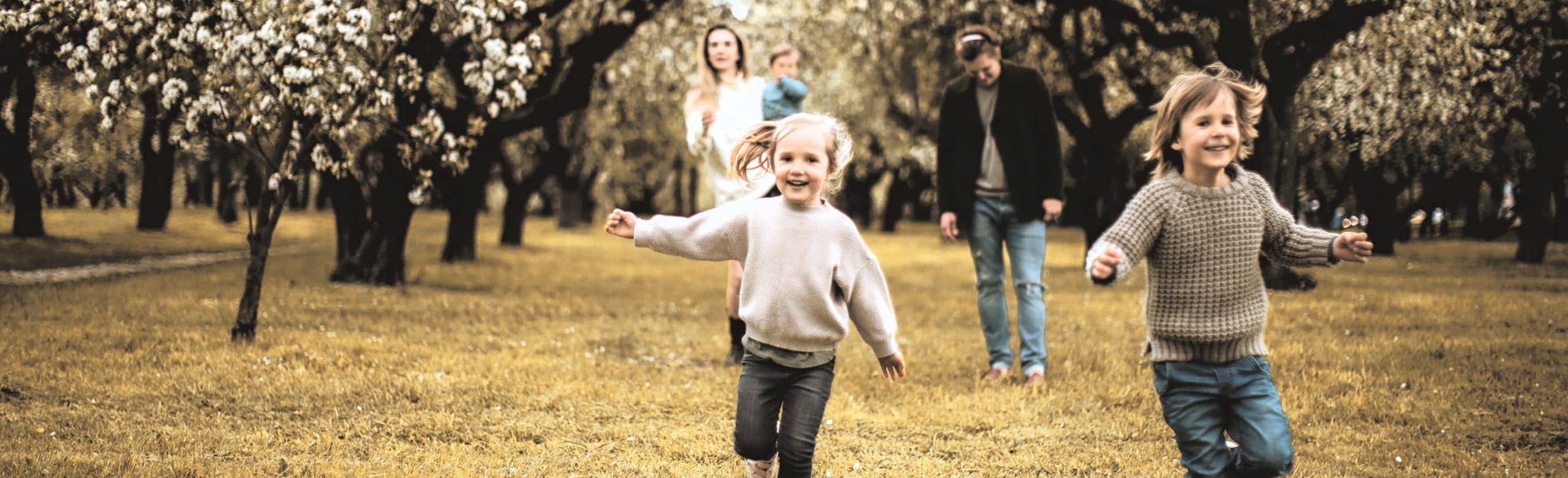 Stewardship and the Universal Destination of Goods - Catholic Telegraph