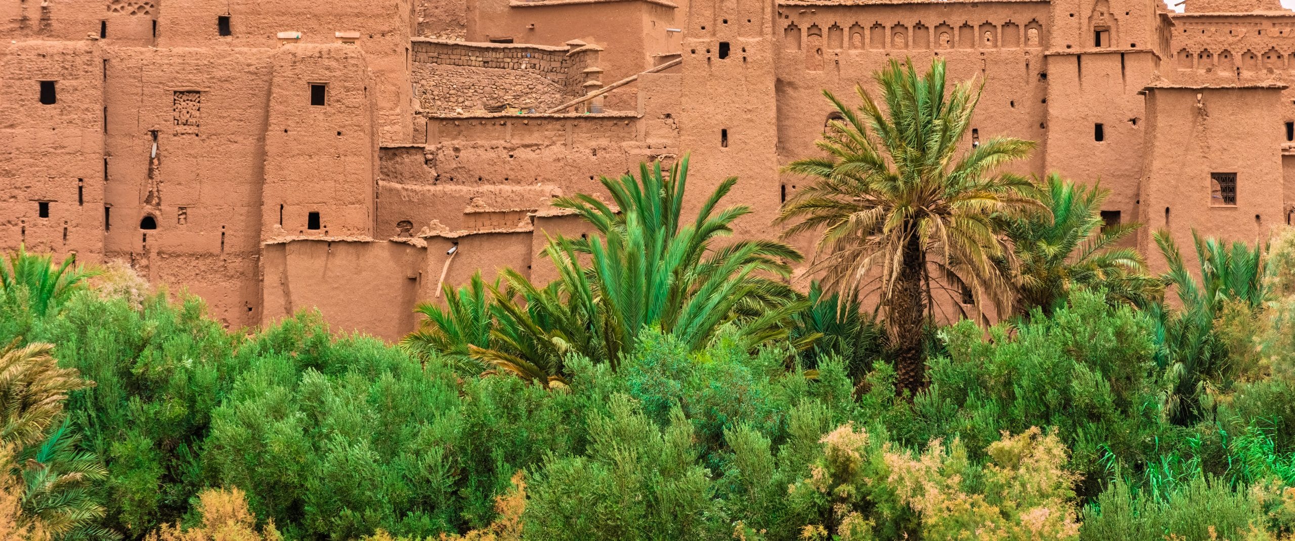 Lenten Reflections 2024 – Catholic Telegraph