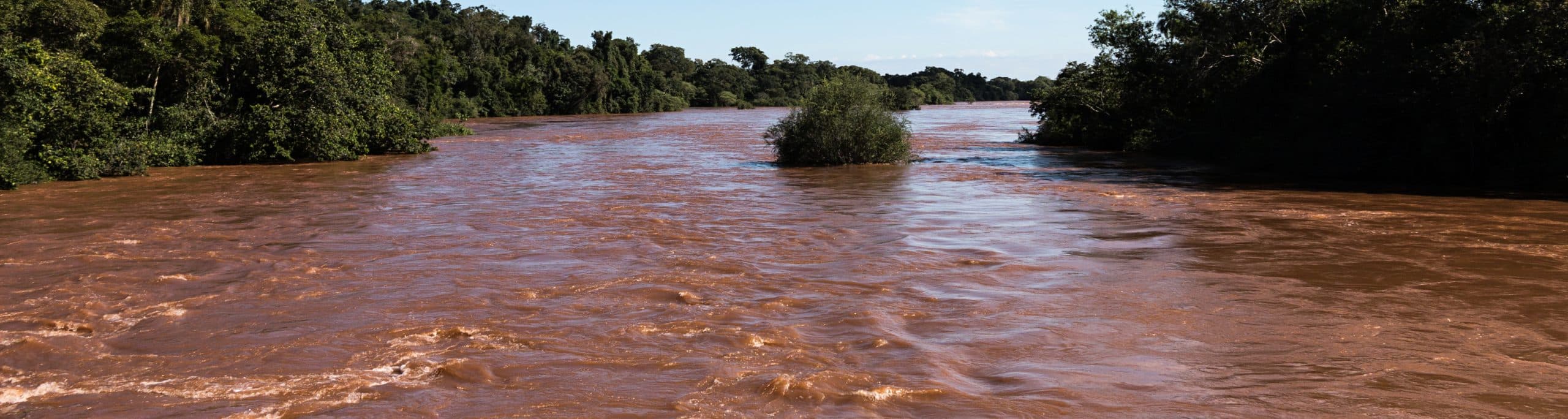 Help Survivors in Western North Carolina Recover from Helene - Catholic ...