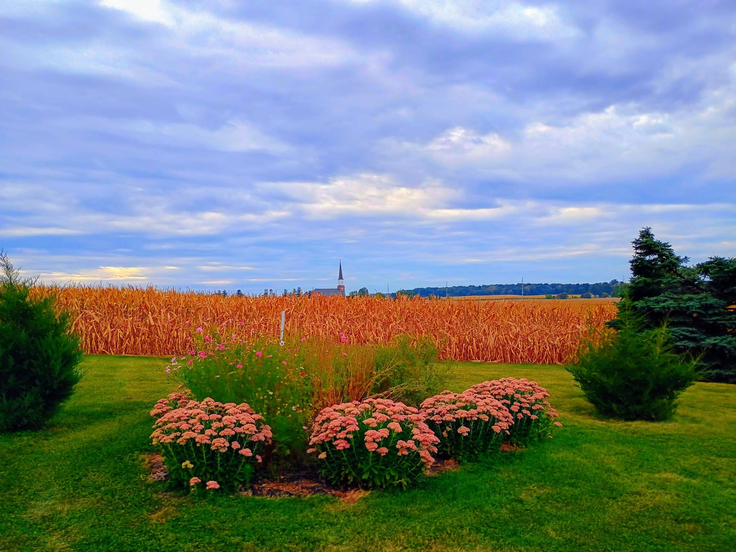 A Painful Past, a Call to Healing - Catholic Telegraph